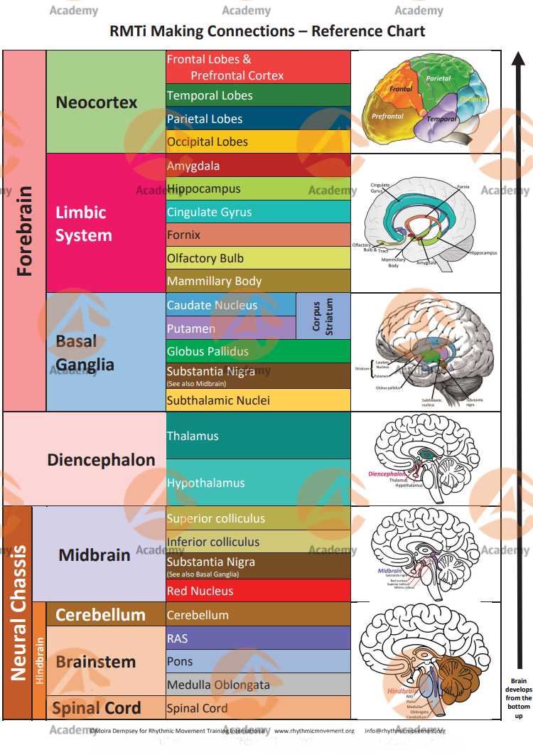 A2 Making Connections Reference Chart – Art Card with Lamination ...